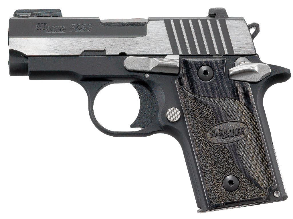 Sig Sauer 238 Equinox | Accu-Shot