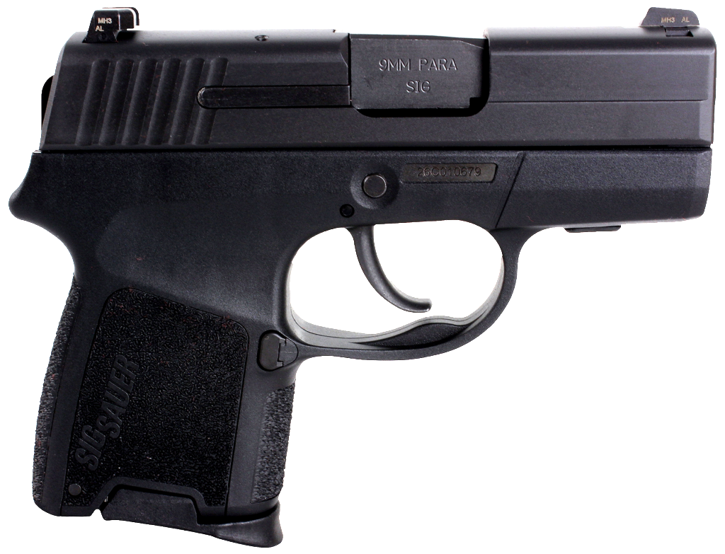 SIG SAUER 290 9MM | Accu-Shot
